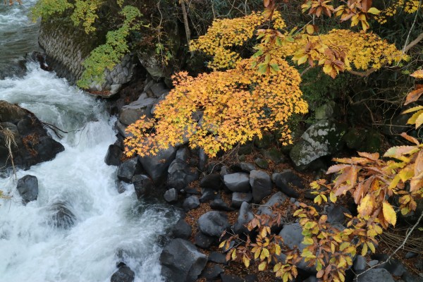Fall colors with hot springs in Hakone – Jun-Spade